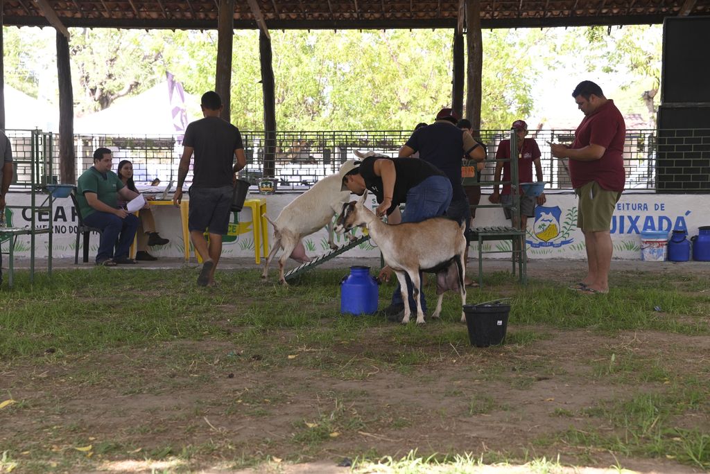 Quixadá: 45ª Expocece começa nesta quinta-feira (27) com vasta ...
